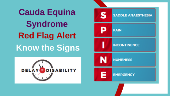 Spinal Injuries Ireland launches its Cauda Equina Syndrome Red Flag ...
